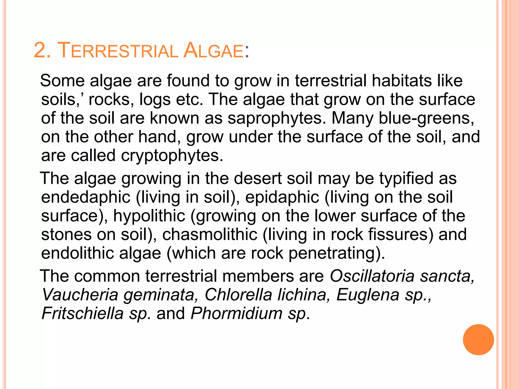 Algae | PPTX