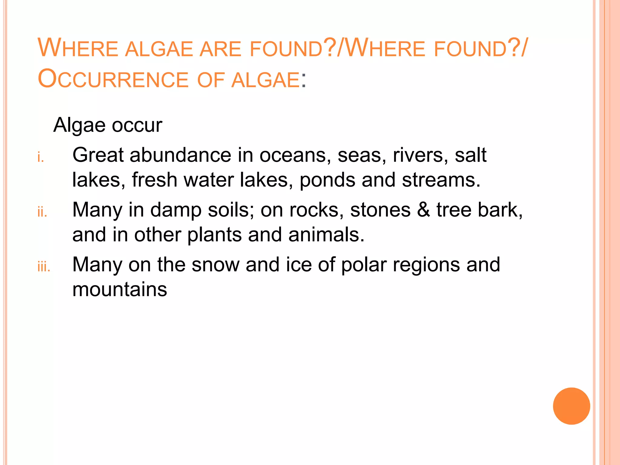 Algae | PPTX