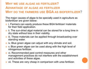 Algae | PPTX