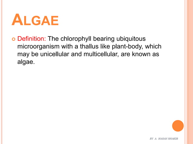 Algae | PPTX