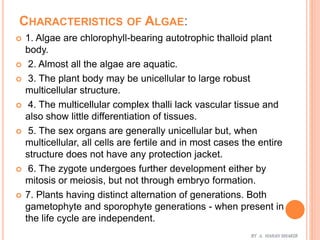 Algae | PPTX
