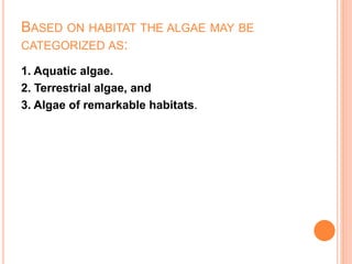 Algae | PPTX