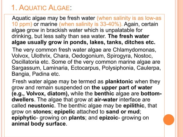 Algae | PPTX