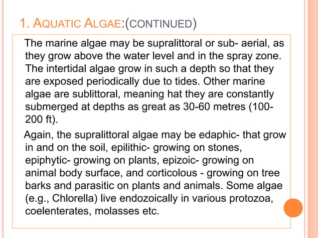 Algae | PPTX