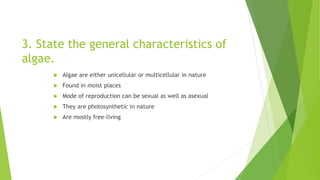 Algae.pptx