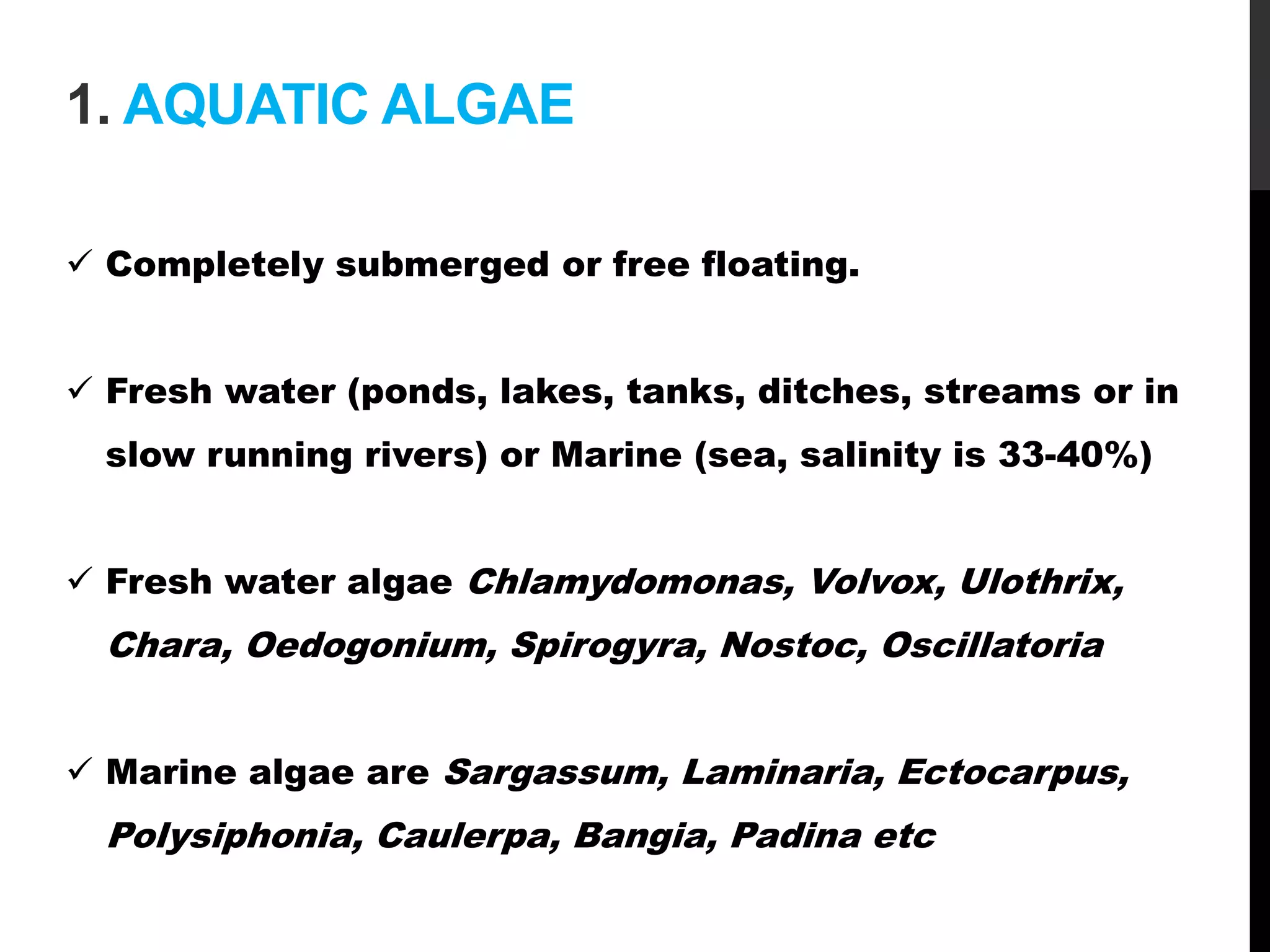 ALGAE.pptx
