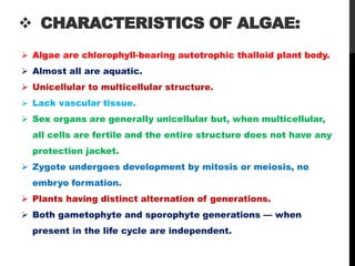 ALGAE.pptx