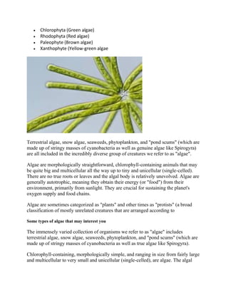 Algae.pdf