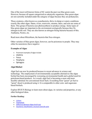 Algae.pdf