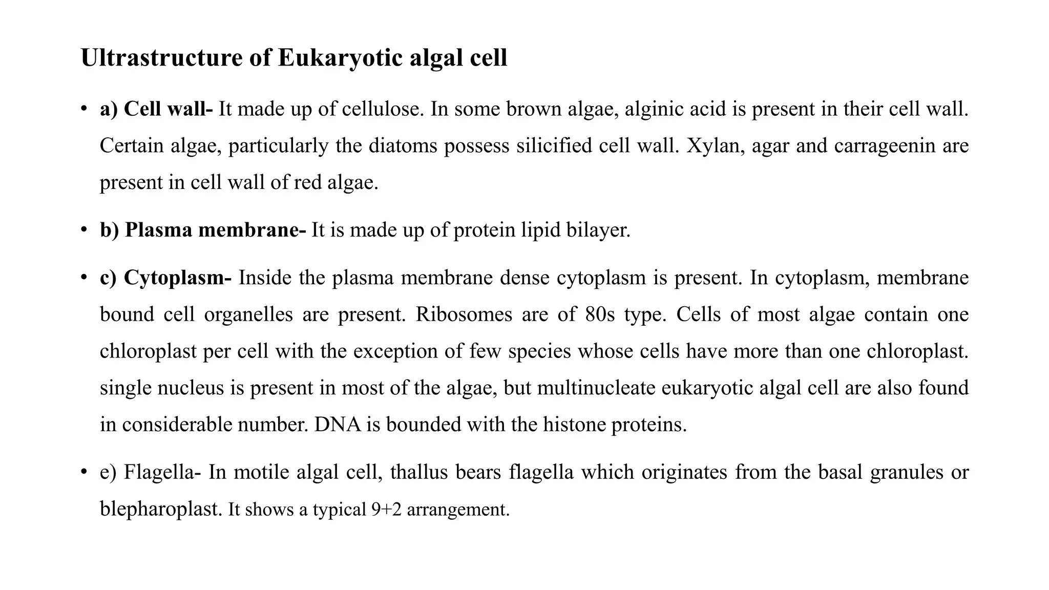Algae.pptx