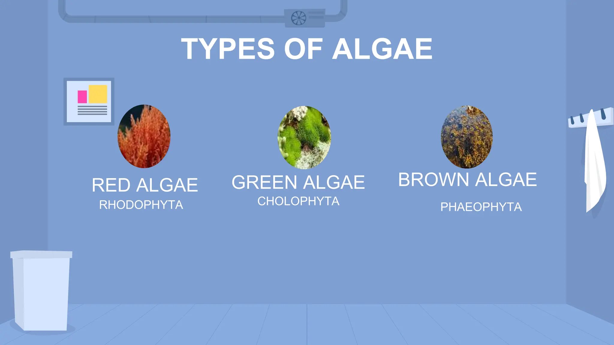 ALGAE.pptx