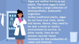 ALGAE.pptx