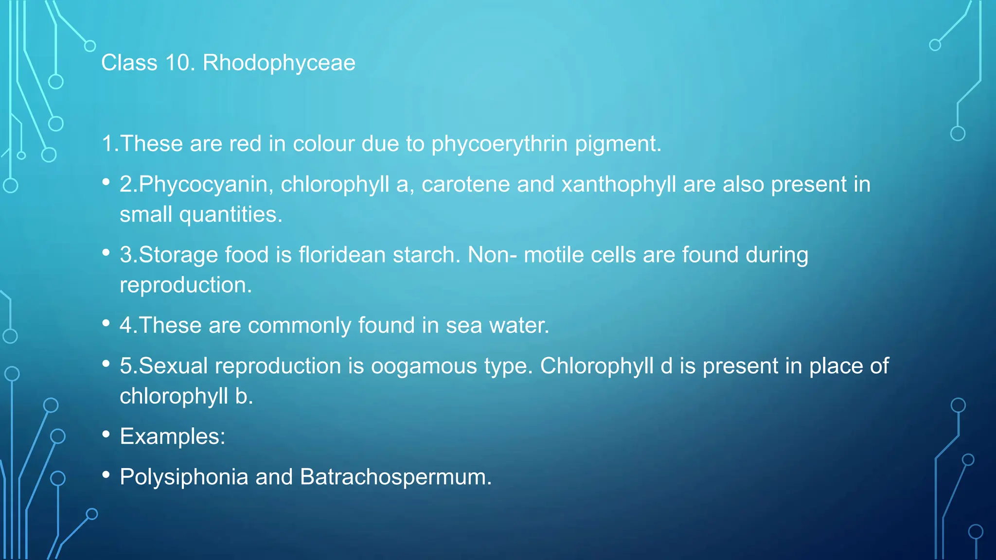 Algae Introduction , application and USES | PPTX