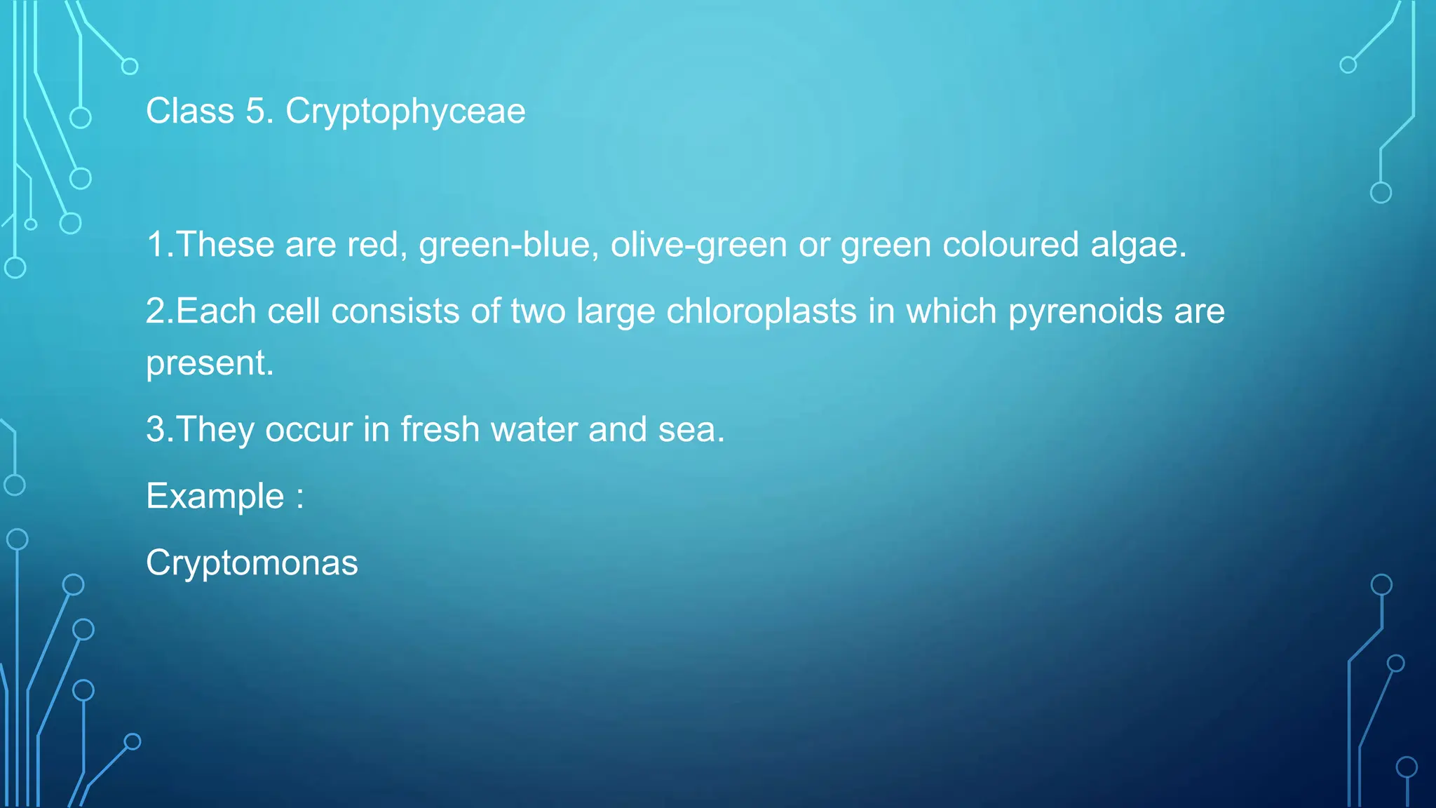 Algae Introduction , application and USES | PPTX