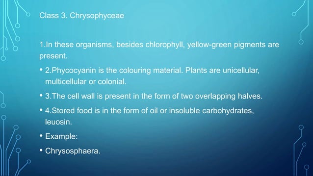 Algae Introduction , application and USES | PPTX