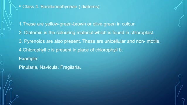 Algae Introduction , application and USES | PPTX