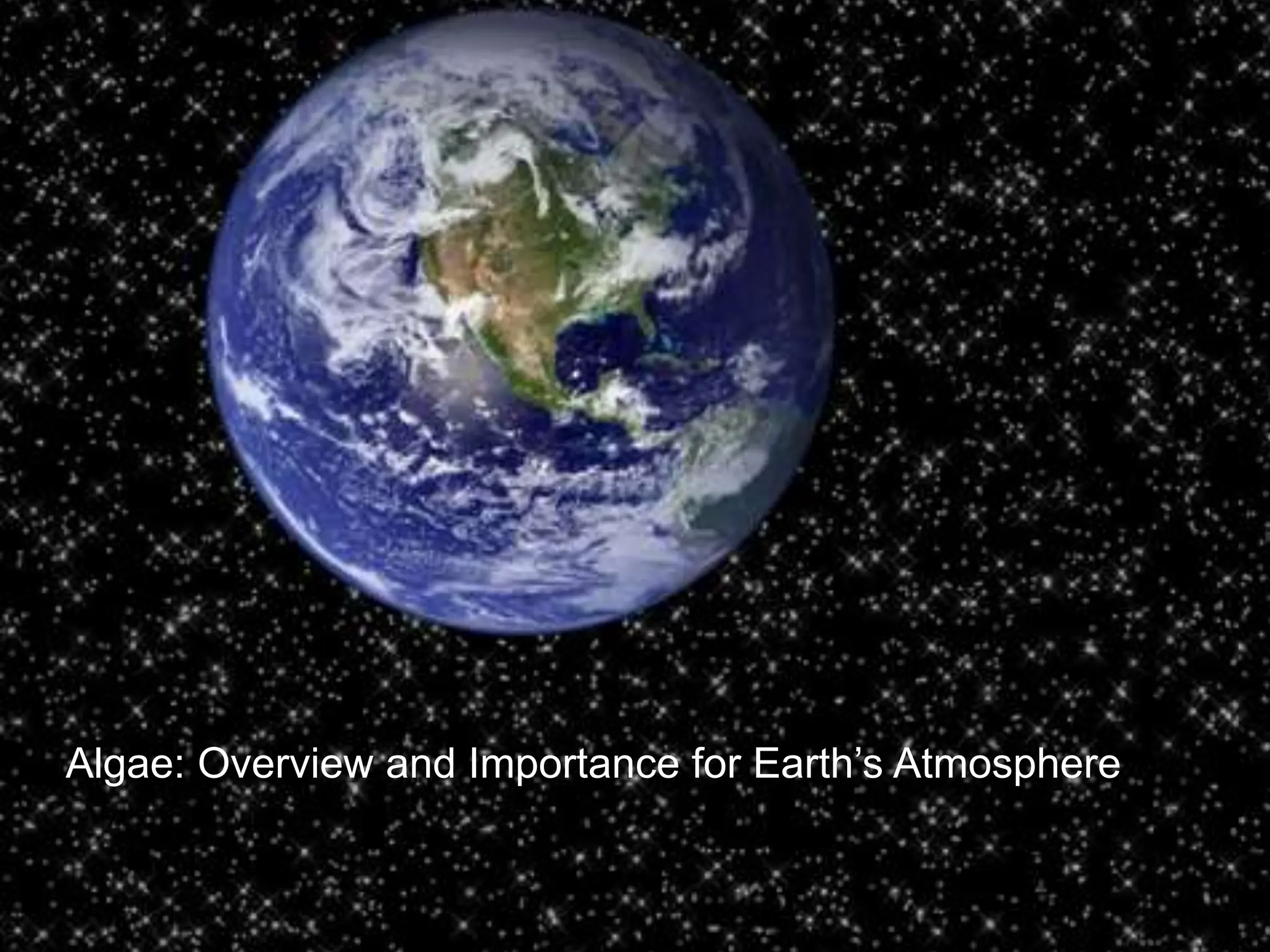 ALGAE evolution and the importance of algae | PPT