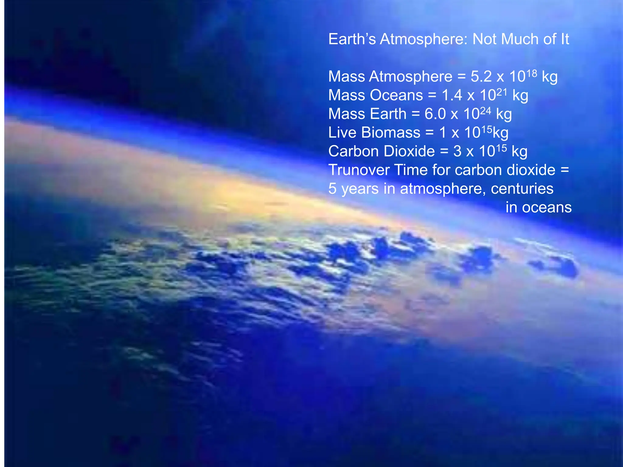 ALGAE evolution and the importance of algae | PPT