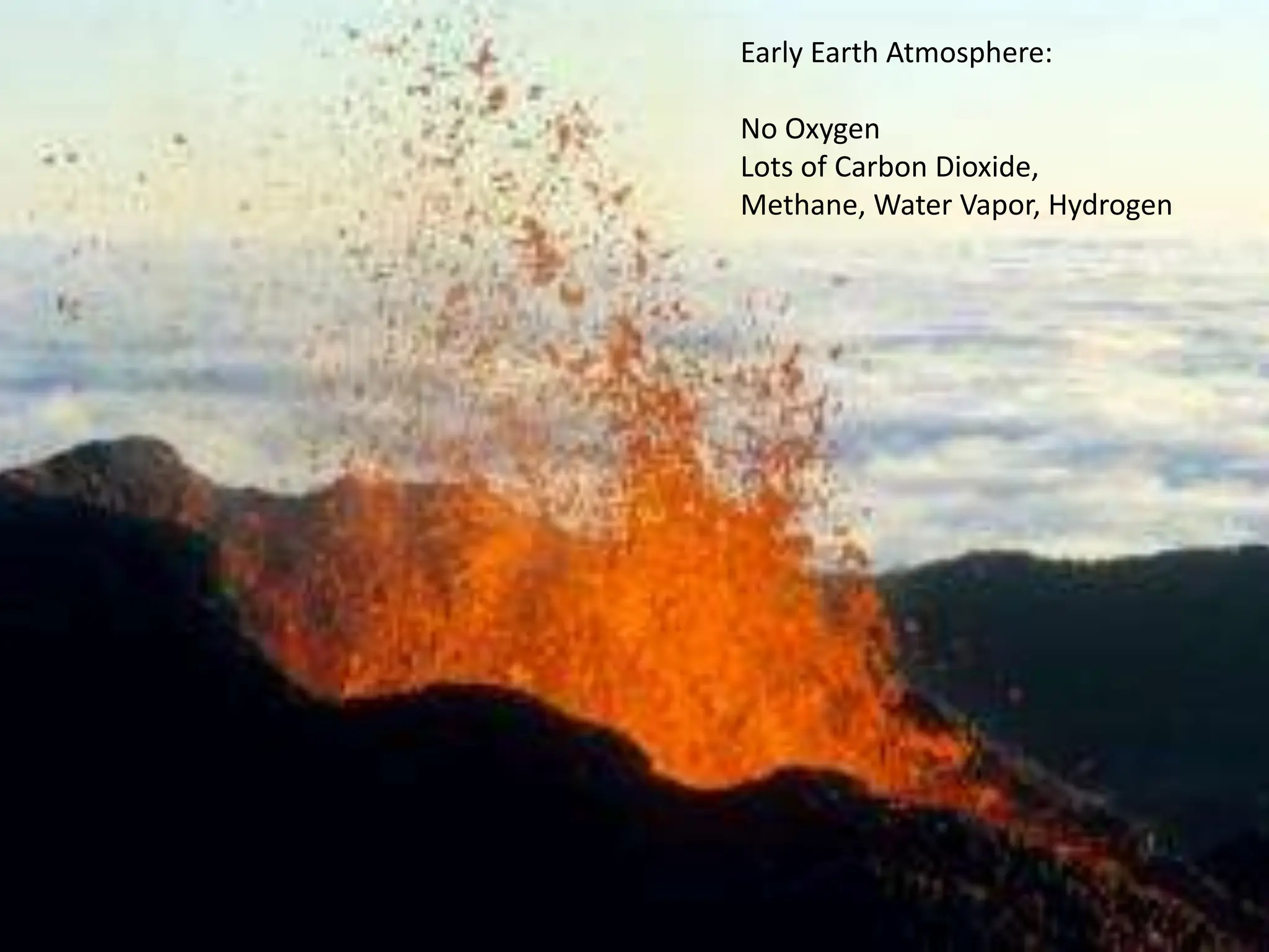 ALGAE evolution and the importance of algae | PPT