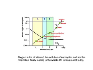 ALGAE evolution and the importance of algae | PPT