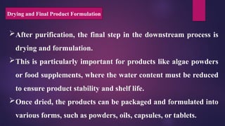 DOWNSTREAM PROCESS OF MICROALGAE / ALGAE | PPT