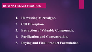 DOWNSTREAM PROCESS OF MICROALGAE / ALGAE | PPT