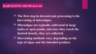 DOWNSTREAM PROCESS OF MICROALGAE / ALGAE | PPT