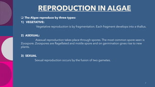ALGAE CLASS 11, Plant kingdom, Biology, notes | PDF