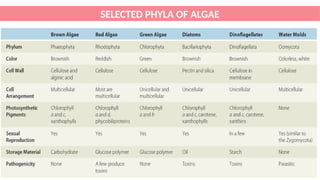ALGAE: STRUCTURE, LIFECYCLE, ROLE IN NATURE, PHYLA, APPLICATION. | PPTX