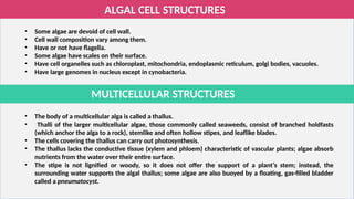 ALGAE: STRUCTURE, LIFECYCLE, ROLE IN NATURE, PHYLA, APPLICATION. | PPTX