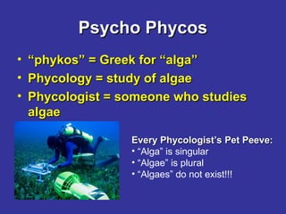 algae and its uses -highschool reference.ppt