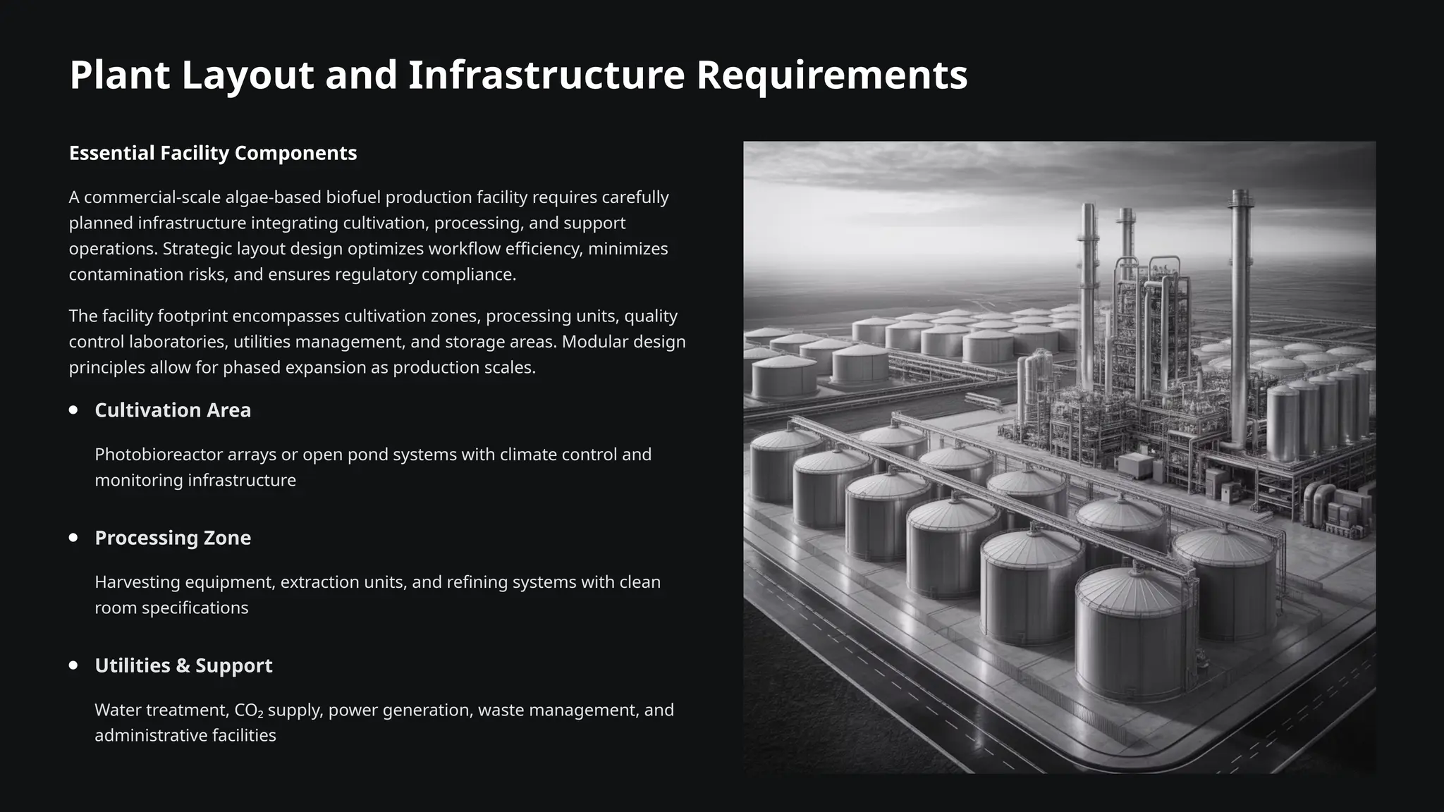 Algae Based Biofuel Production Plant DPR 2026 | PPTX