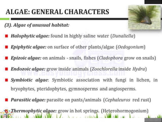 Algae-General-Characters.pptx