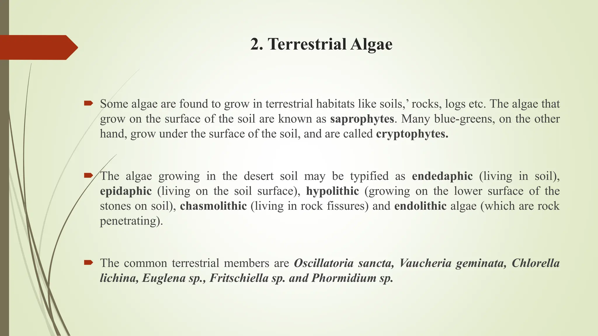 ALGAE - Habitat and Distribution for B.Sc Semester -I as per NEP ...
