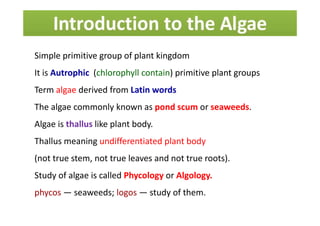 Algae introduction-characters | PDF