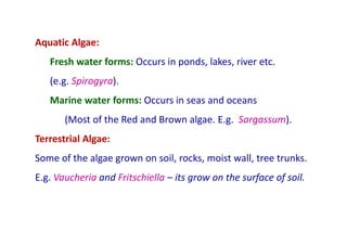 Algae introduction-characters | PDF