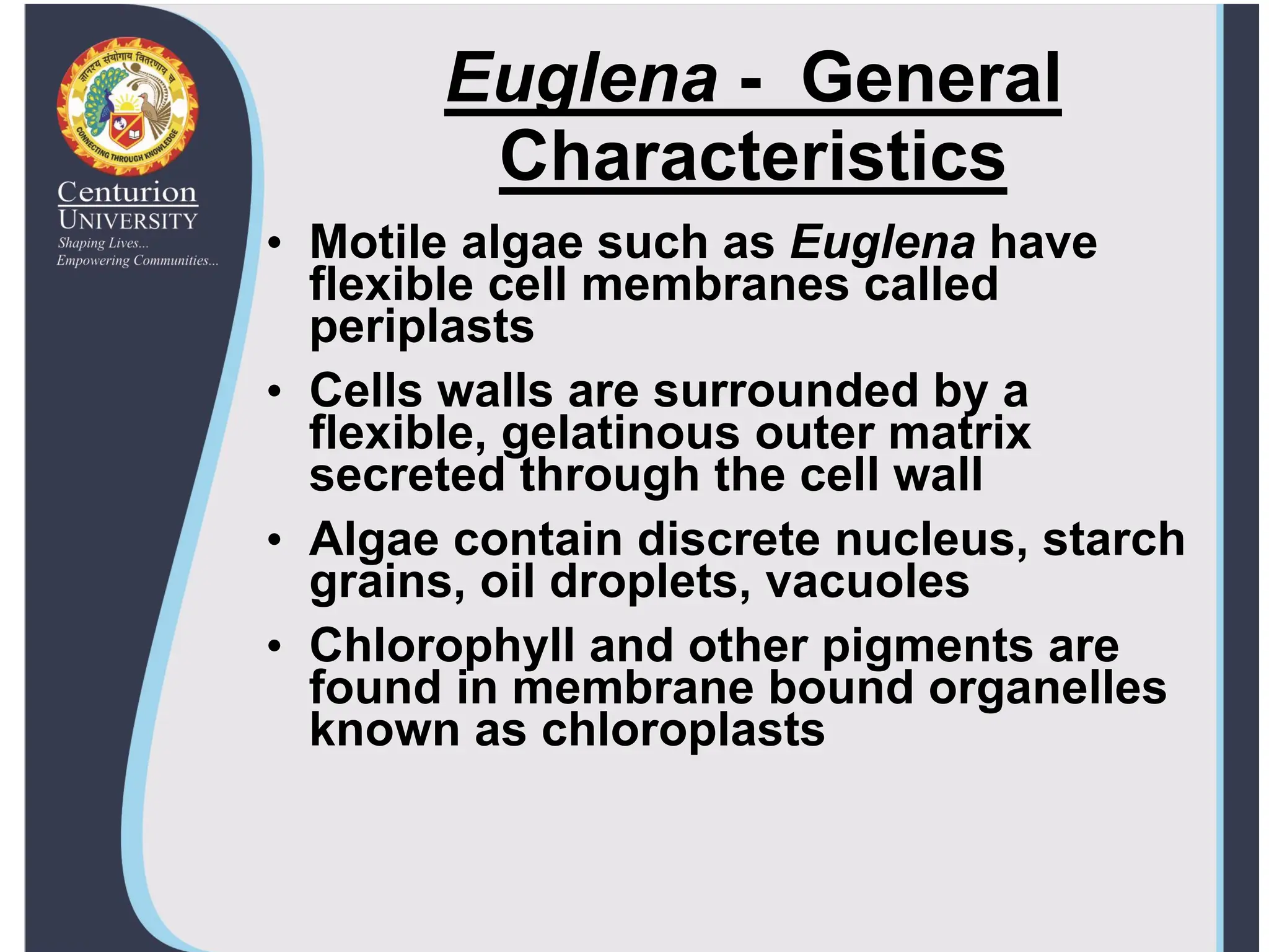 Algae-Protozoa-Yeasts-and-Fungi about their character | PDF