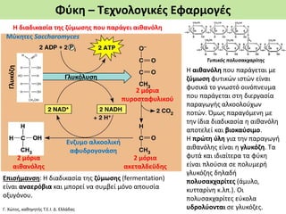 Φύκη-Τεχνολογικές Εφαρμογές (Algae-Technological uses) | PDF