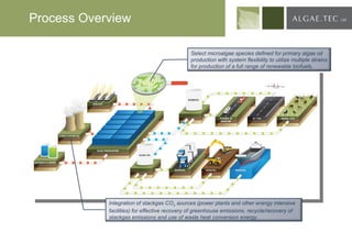 Algae.Tec Advanced Biofuels: Investor Presentation | PPT | Chemistry ...