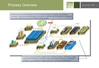 Algae.Tec Advanced Biofuels: Investor Presentation | PPT | Chemistry ...