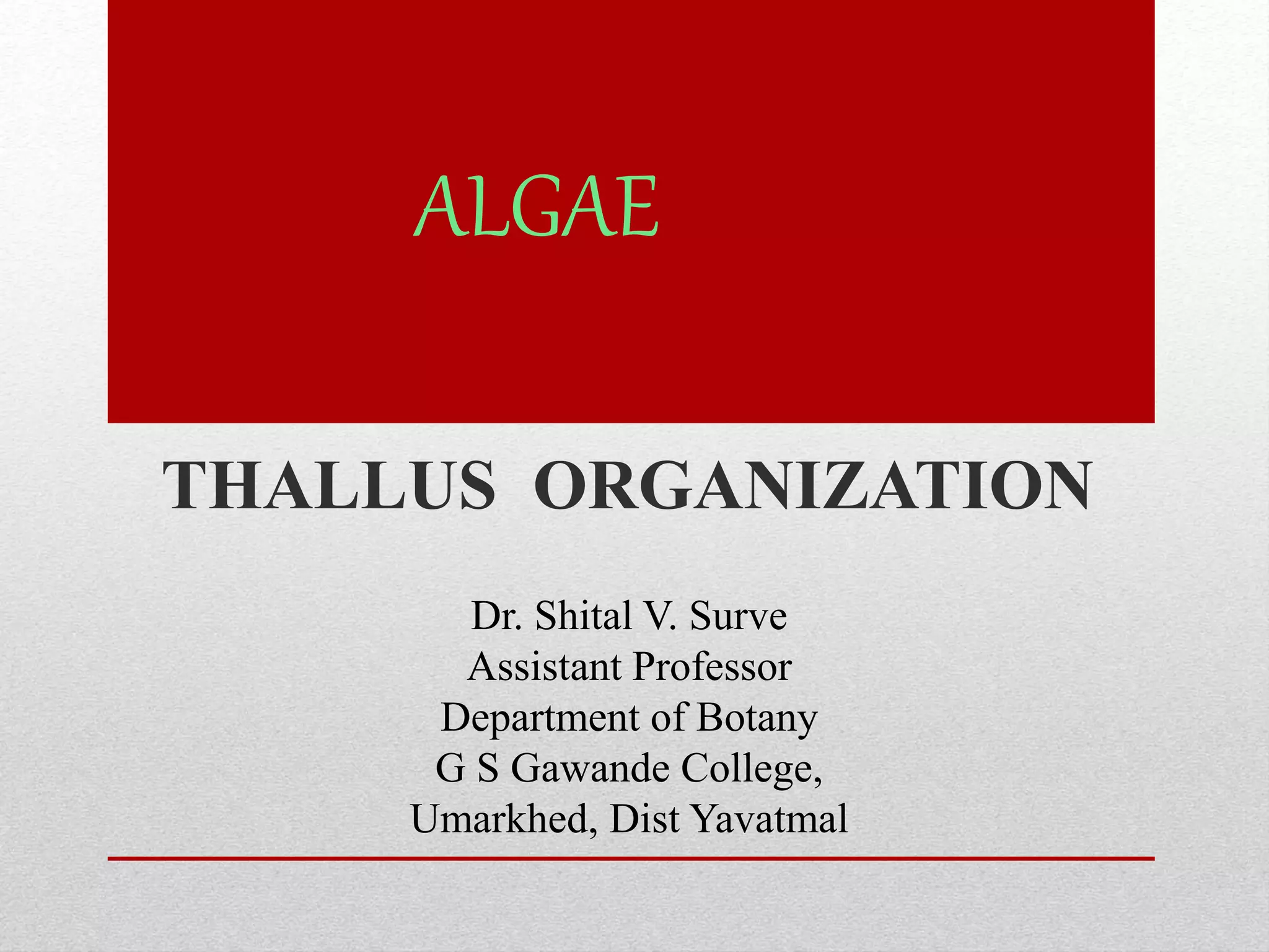 ALGAE - THALLUS ORGANIZATION.pptx