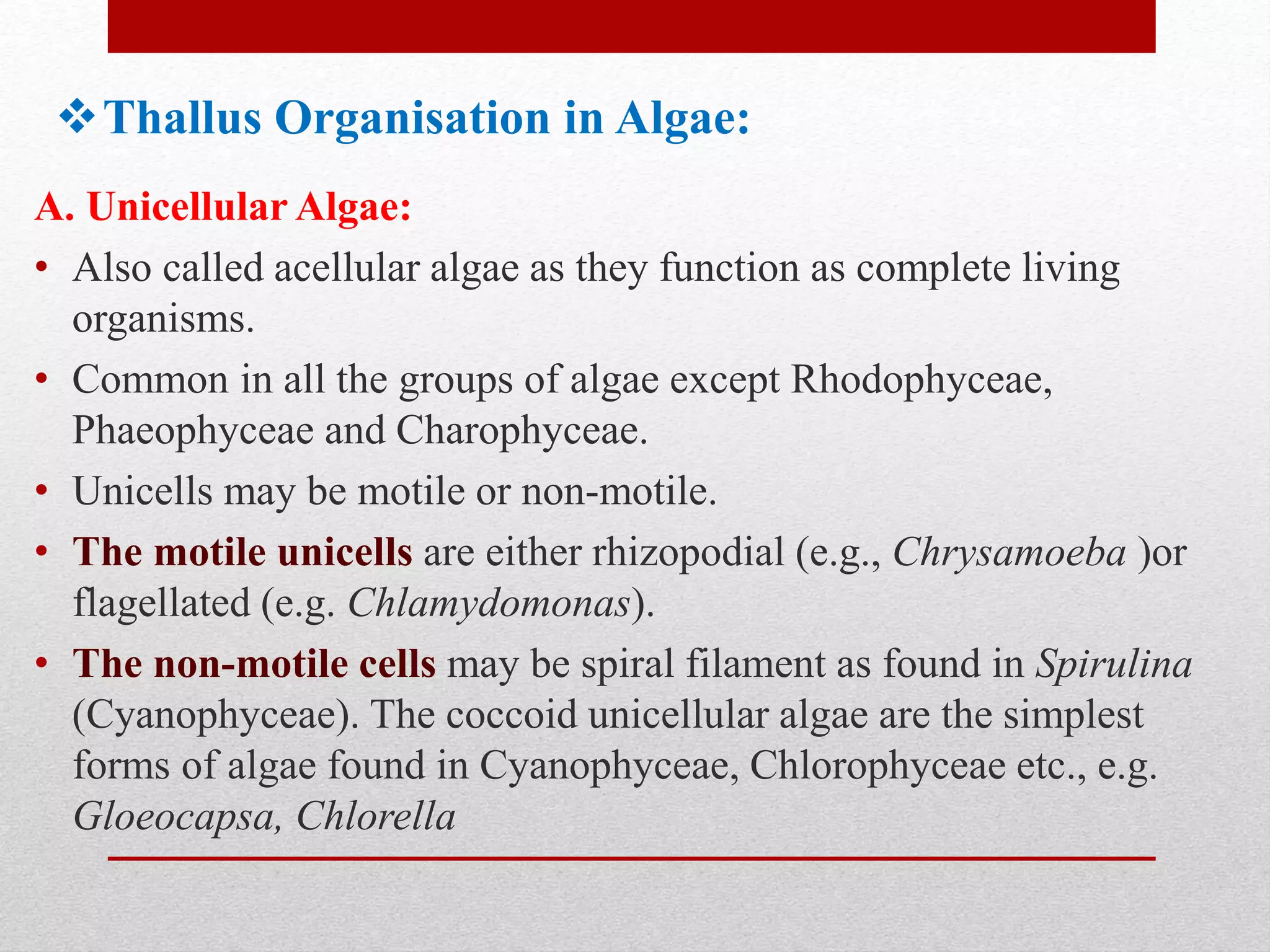 ALGAE - THALLUS ORGANIZATION.pptx | Biological Sciences | Science