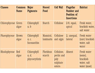 Algae 02 Plant Kingdom.pdf