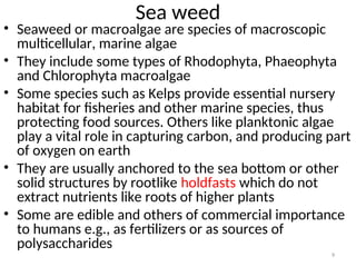 Algae: Types, Structure, and Reproduction | PPT