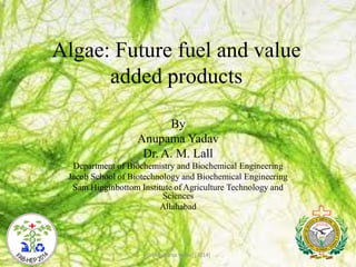 Algae1 | PPT