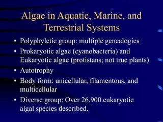 algae1.ppt
