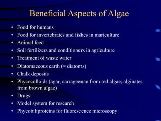 algae1.ppt