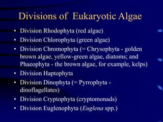 algae1.ppt