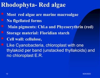 algae 11.ppt
