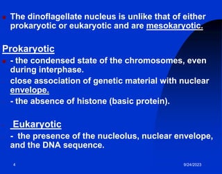 algae 11.ppt